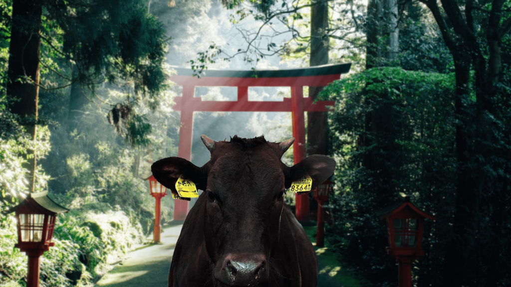 The Wagyu Olympics 2022: explanation and winners - OS Meatshop